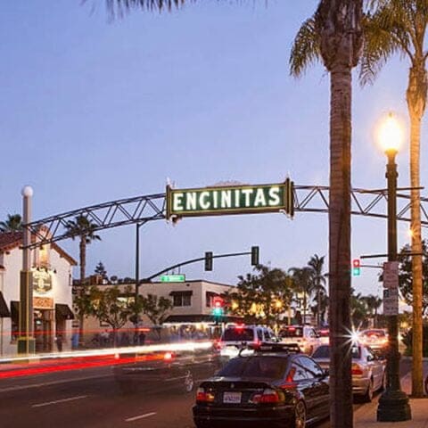 Artificial Turf Services in Encinitas, Encinitas, California