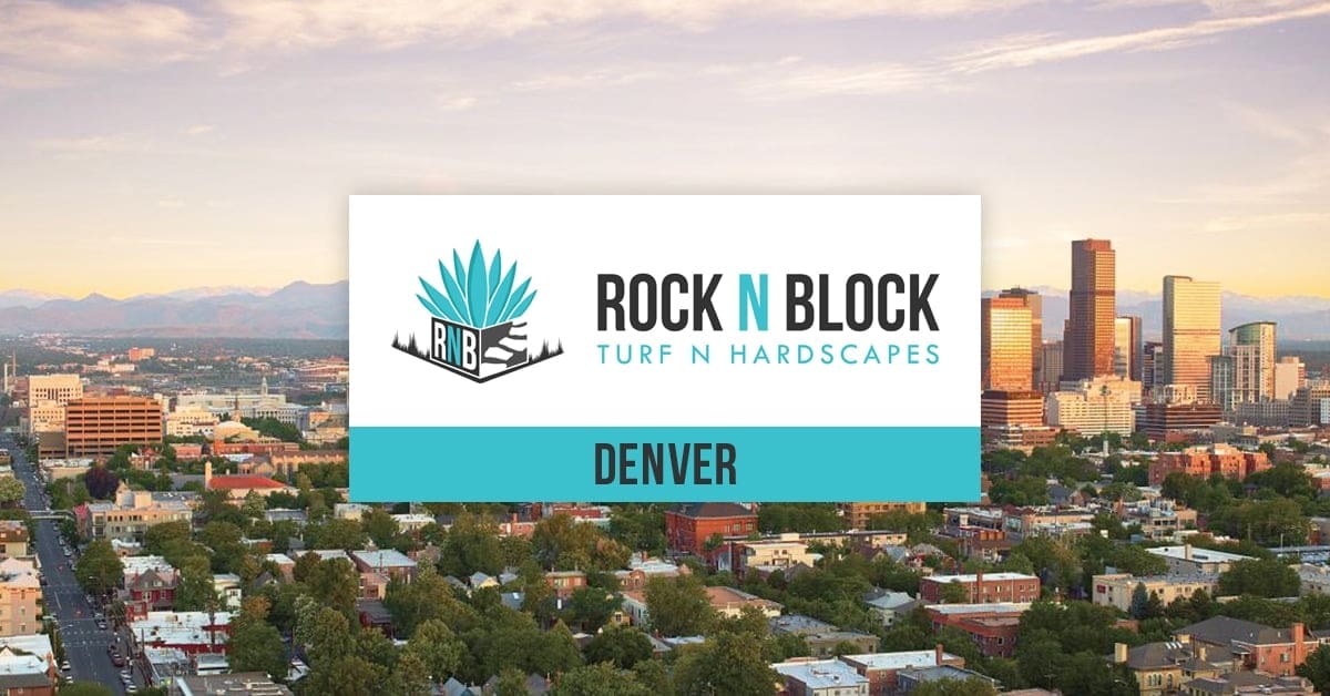Artificial Turf Denver Colorado | Rock N Block Landscape